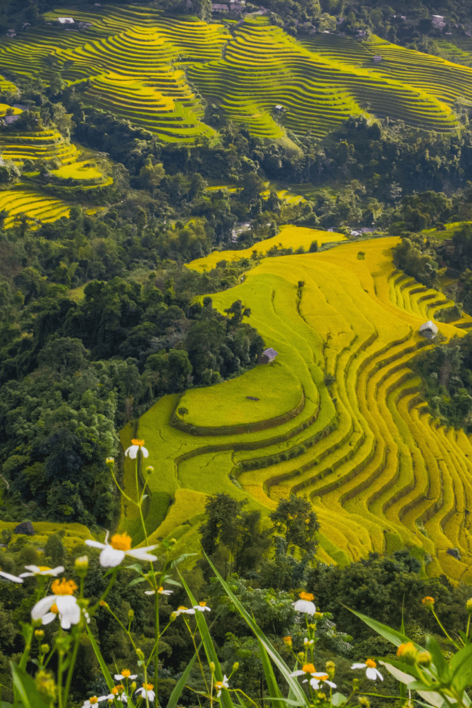 Rondreizen Azië - Reis Tips Online